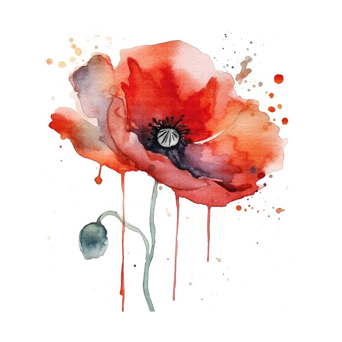 12 Red Poppy Clipart, Red Poppy Bouquet, Printable Red Poppy, High ...