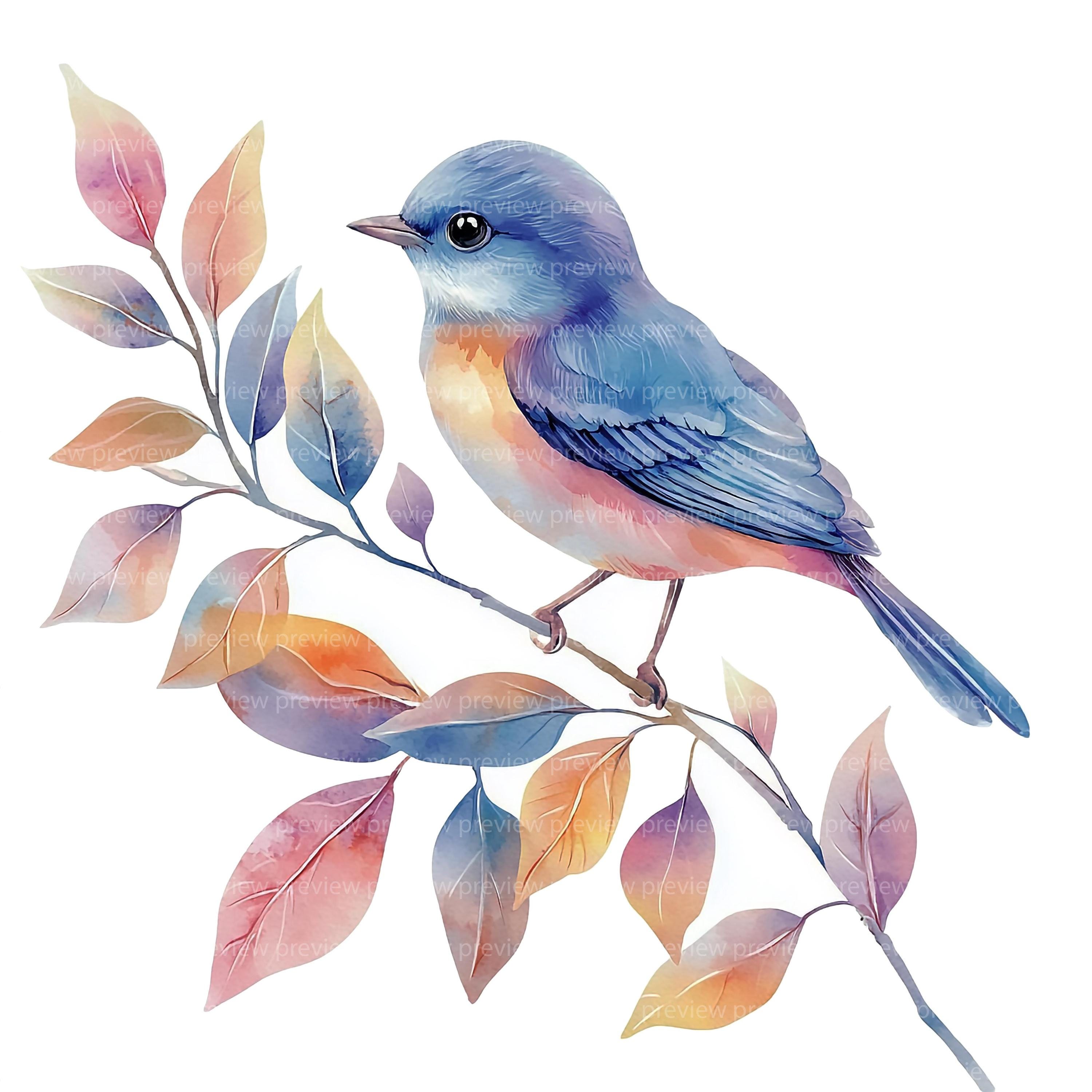 20 Songbird Clipart | Colored Leaf Watercolor Branch Art | Nature Bird ...