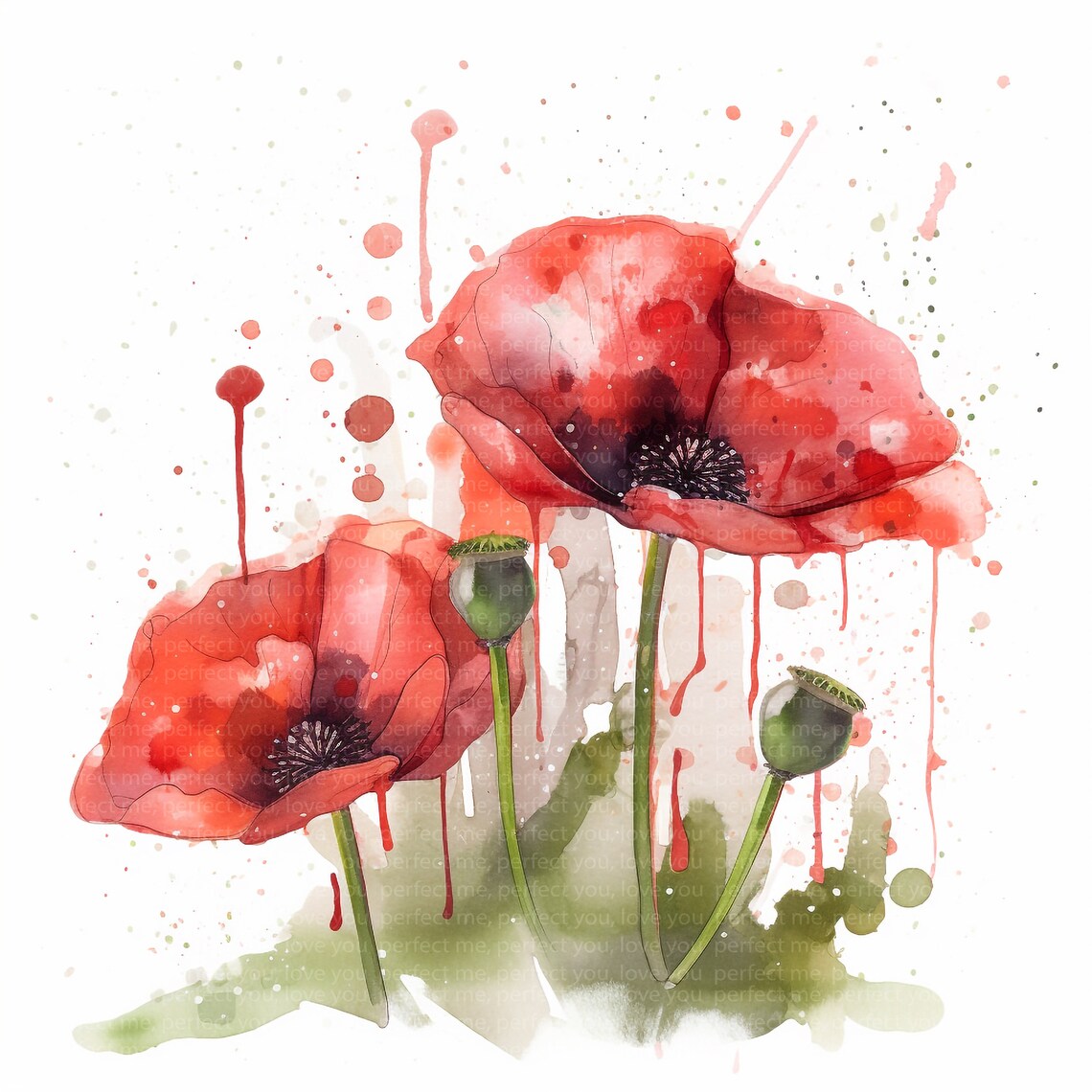 12 Red Poppy Clipart, Red Poppy Bouquet, Printable Red Poppy, High ...