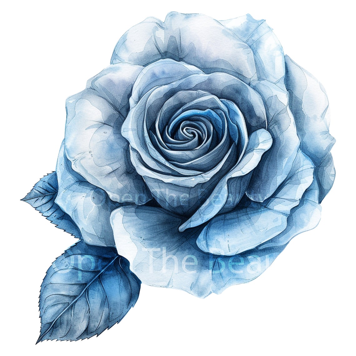 Blue Roses Watercolor Clipart Blue Roses Clipart Flowers Clipart Blue ...