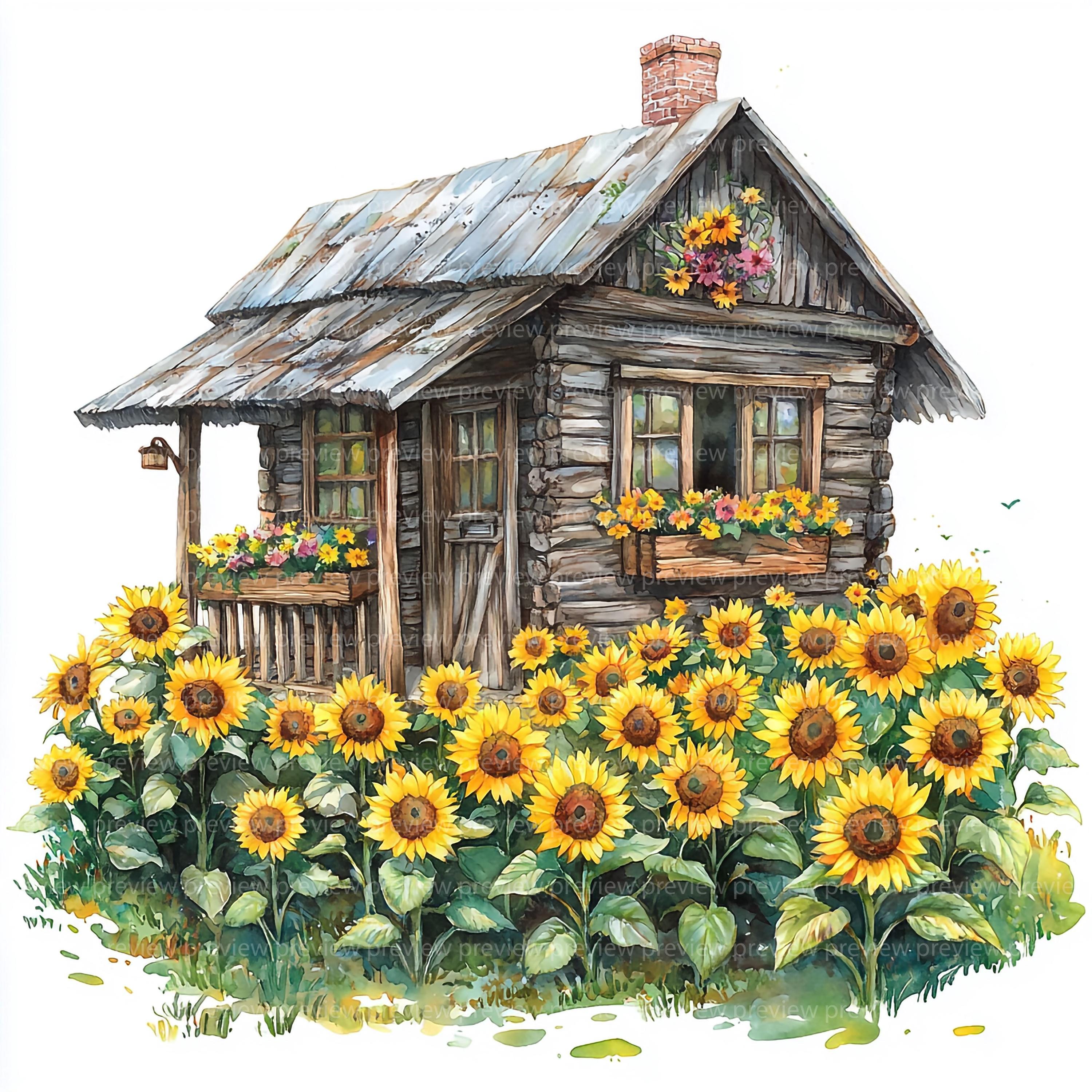12 Sunflower Cottage Clipart, Old Hut With Sunflowers Watercolor ...