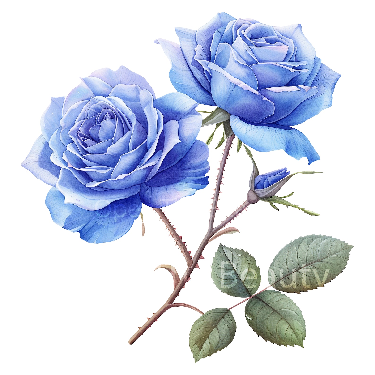 Blue Roses Watercolor Clipart Blue Roses Clipart Flowers Clipart Blue ...