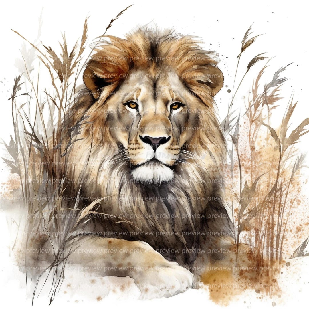 12 Watercolor Lion Clipart | Safari King Animal Portrait | Majestic ...