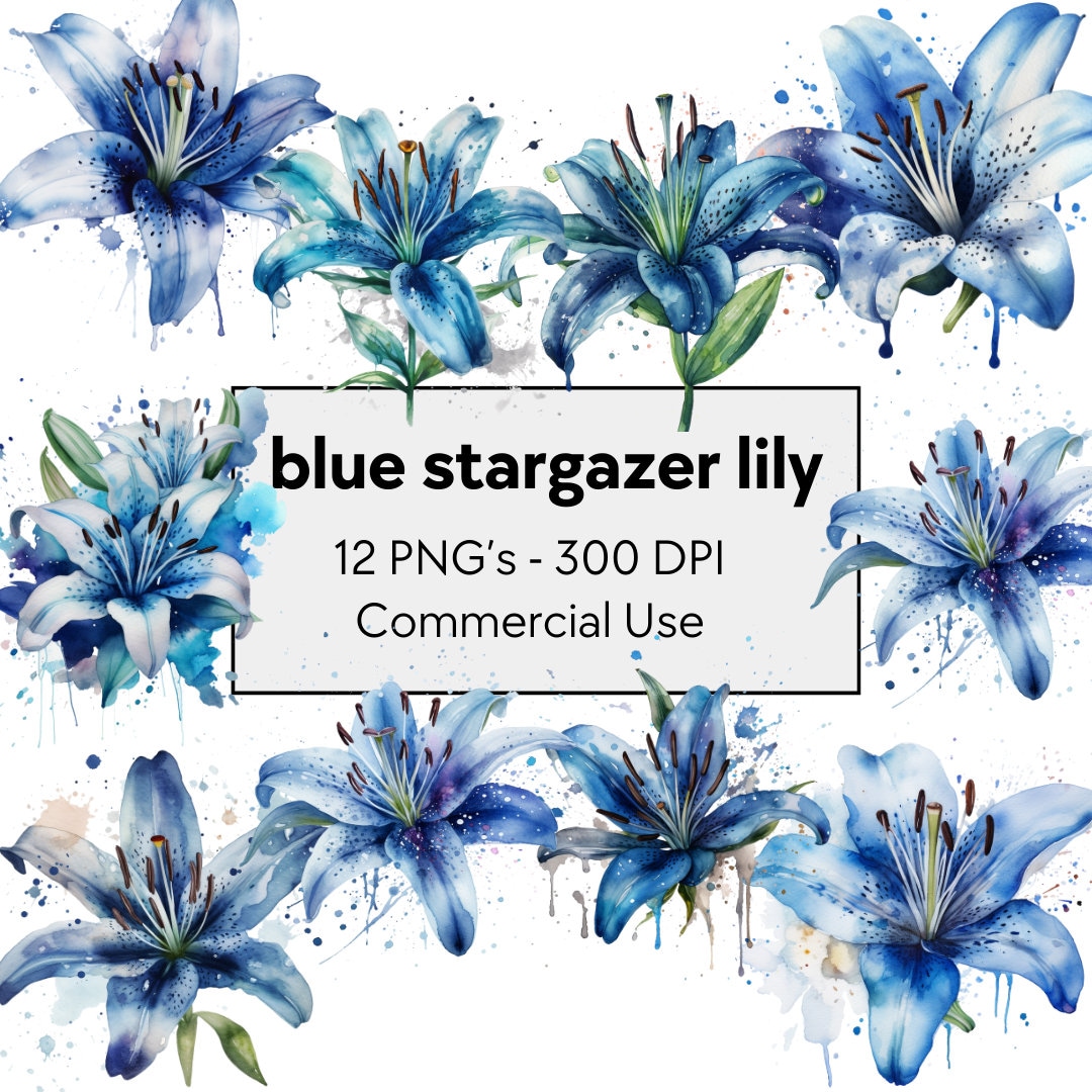 Blue Stargazer Lily Watercolor Clipart Blue Stargazer Lily Clipart ...