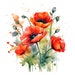 12 Red Poppy Clipart, Red Poppy Bouquet, Printable Red Poppy, High ...