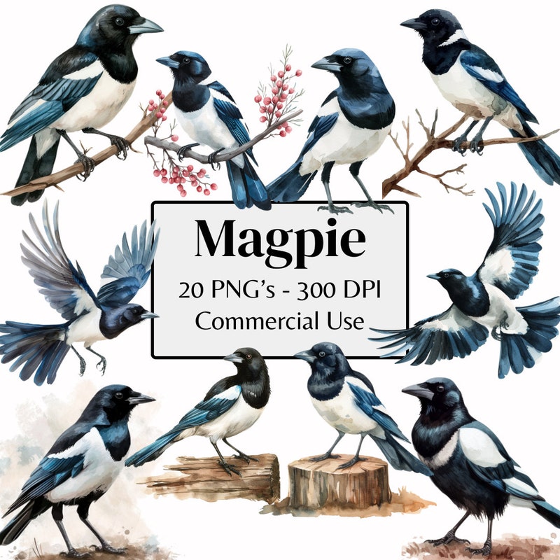 Magpie Pattern - Etsy