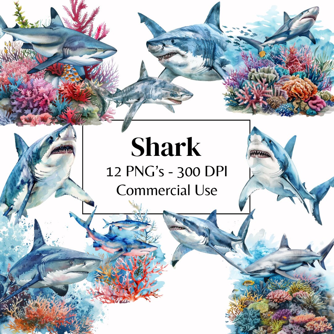 Shark Watercolor Clipart Shark Clipart Ocean Clipart Shark PNG 300 DPI ...