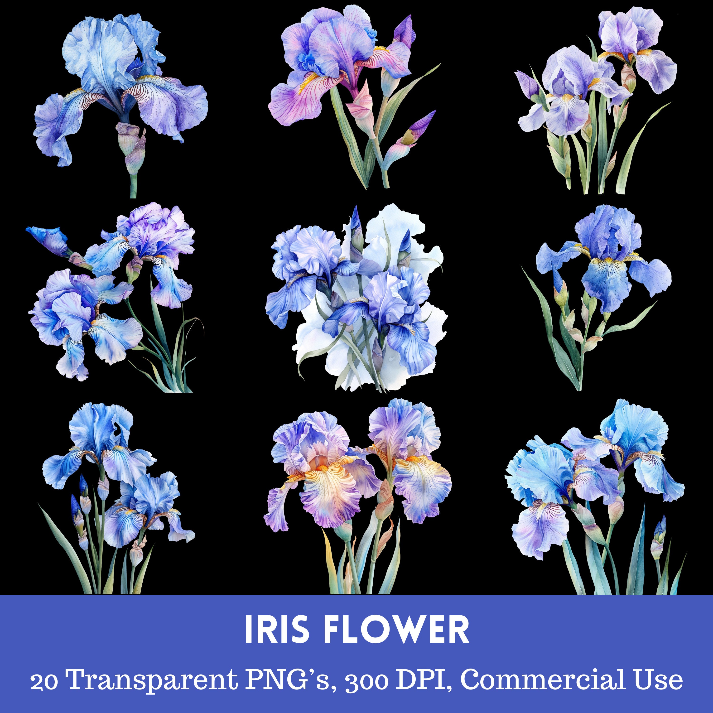 Iris Flowers Watercolor Clipart Iris Clipart Flowers Clipart Iris PNG 300 DPI Cards, Scrapbooks ...