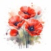 12 Red Poppy Clipart, Red Poppy Bouquet, Printable Red Poppy, High ...