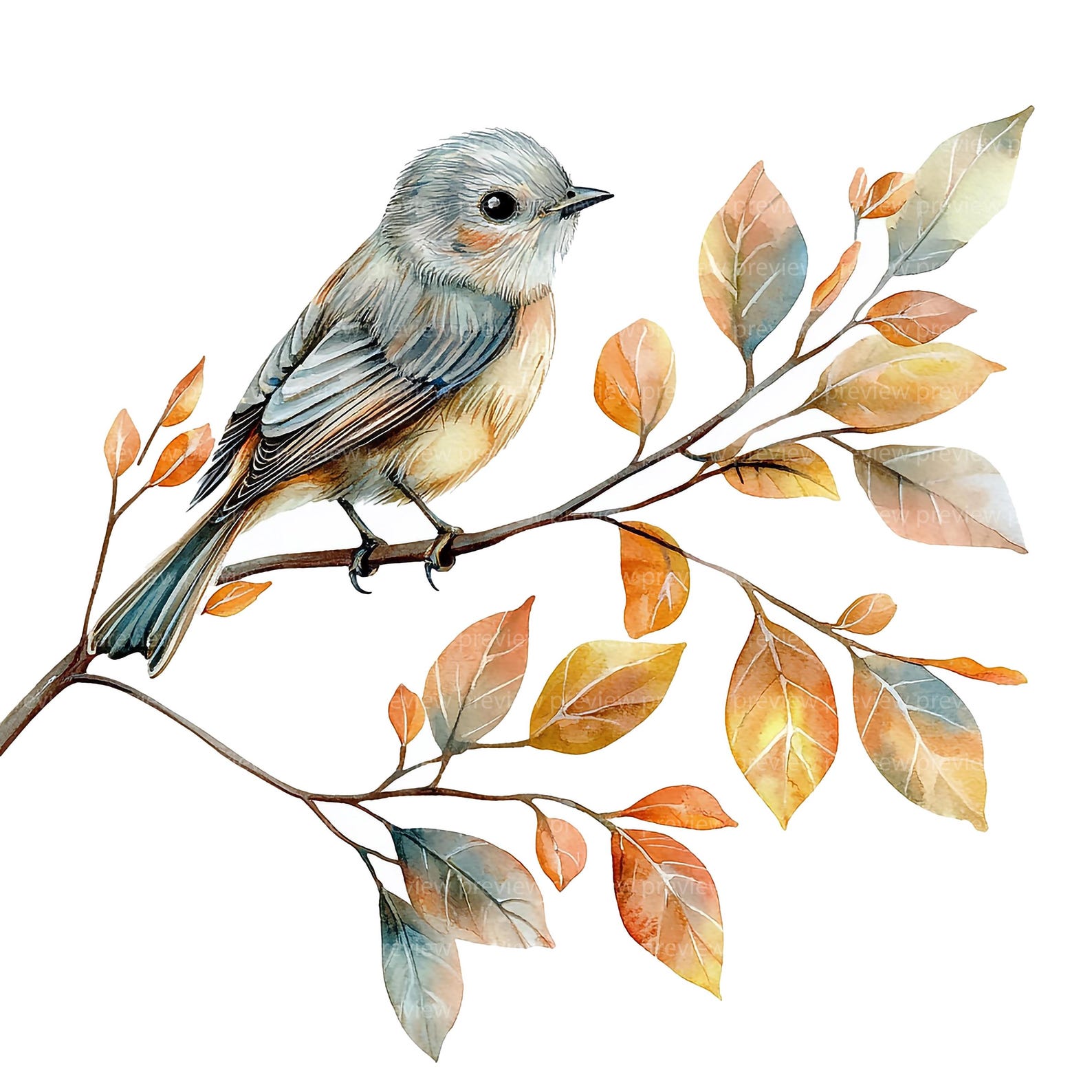 20 Songbird Clipart | Colored Leaf Watercolor Branch Art | Nature Bird ...
