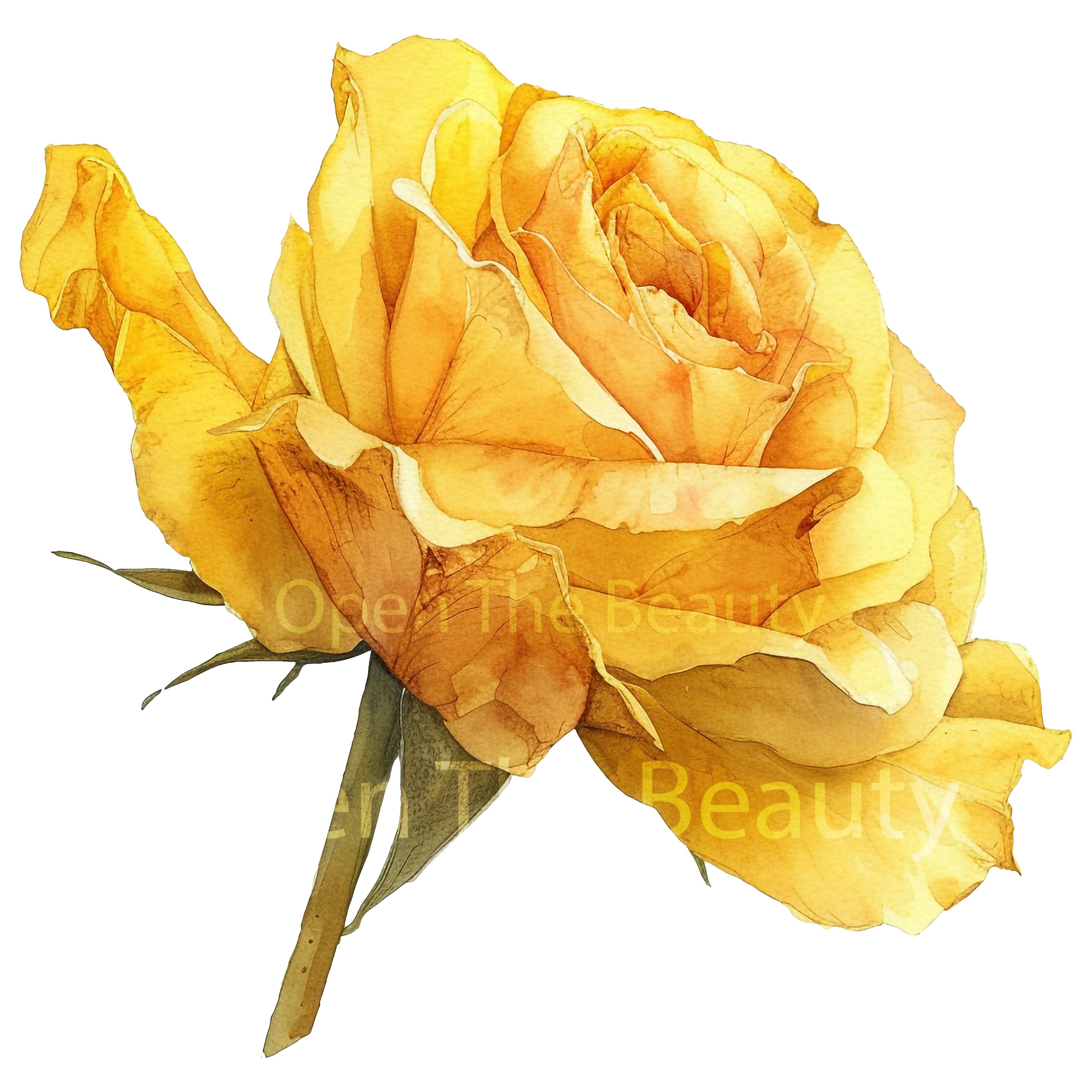 Yellow Roses Watercolor Clipart Yellow Roses Clipart Flowers Clipart ...