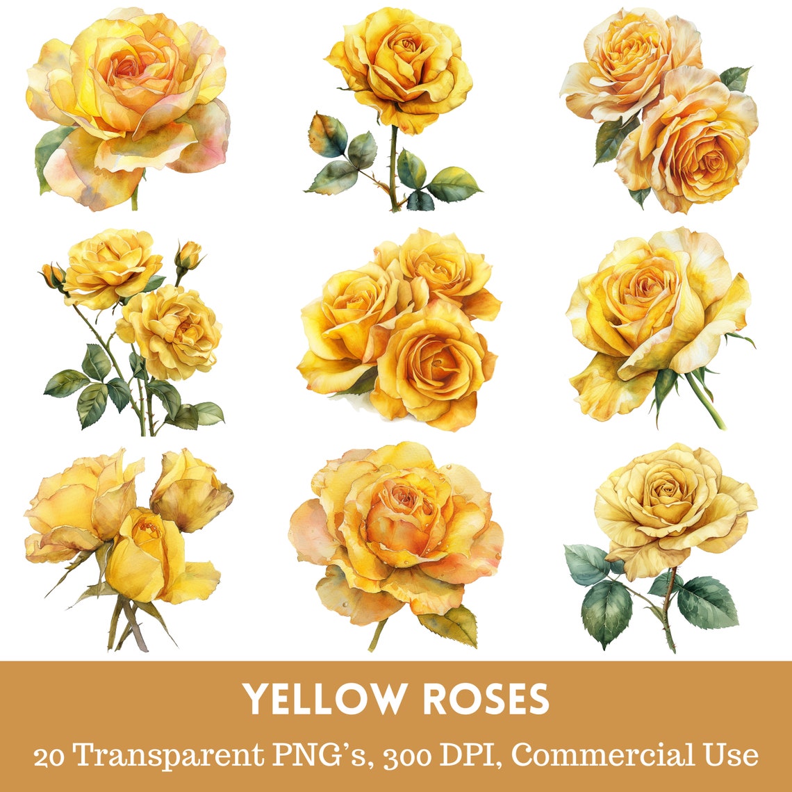 Yellow Roses Watercolor Clipart Yellow Roses Clipart Flowers Clipart ...