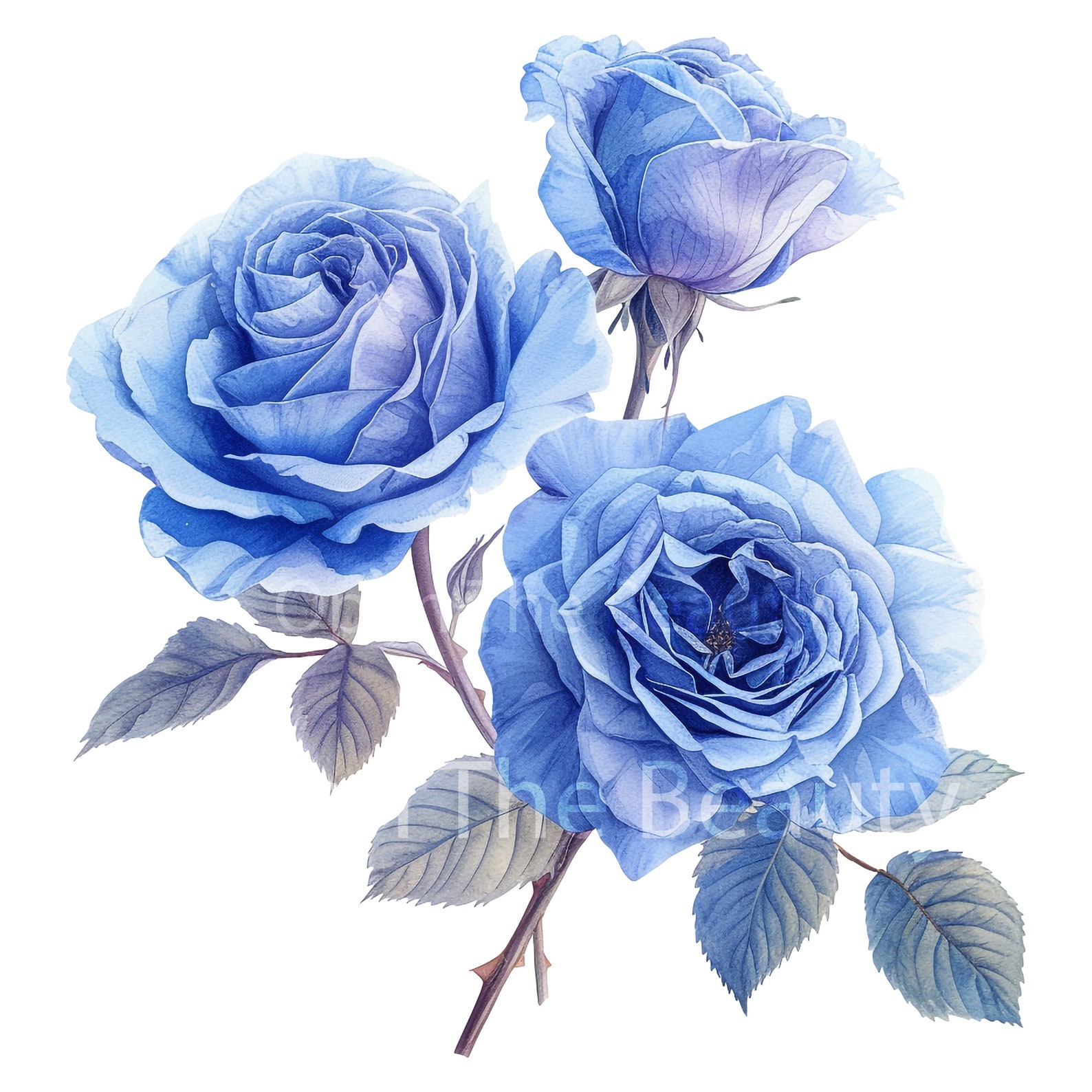 Blue Roses Watercolor Clipart Blue Roses Clipart Flowers Clipart Blue ...