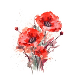 12 Red Poppy Clipart, Red Poppy Bouquet, Printable Red Poppy, High ...