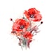 12 Red Poppy Clipart, Red Poppy Bouquet, Printable Red Poppy, High ...