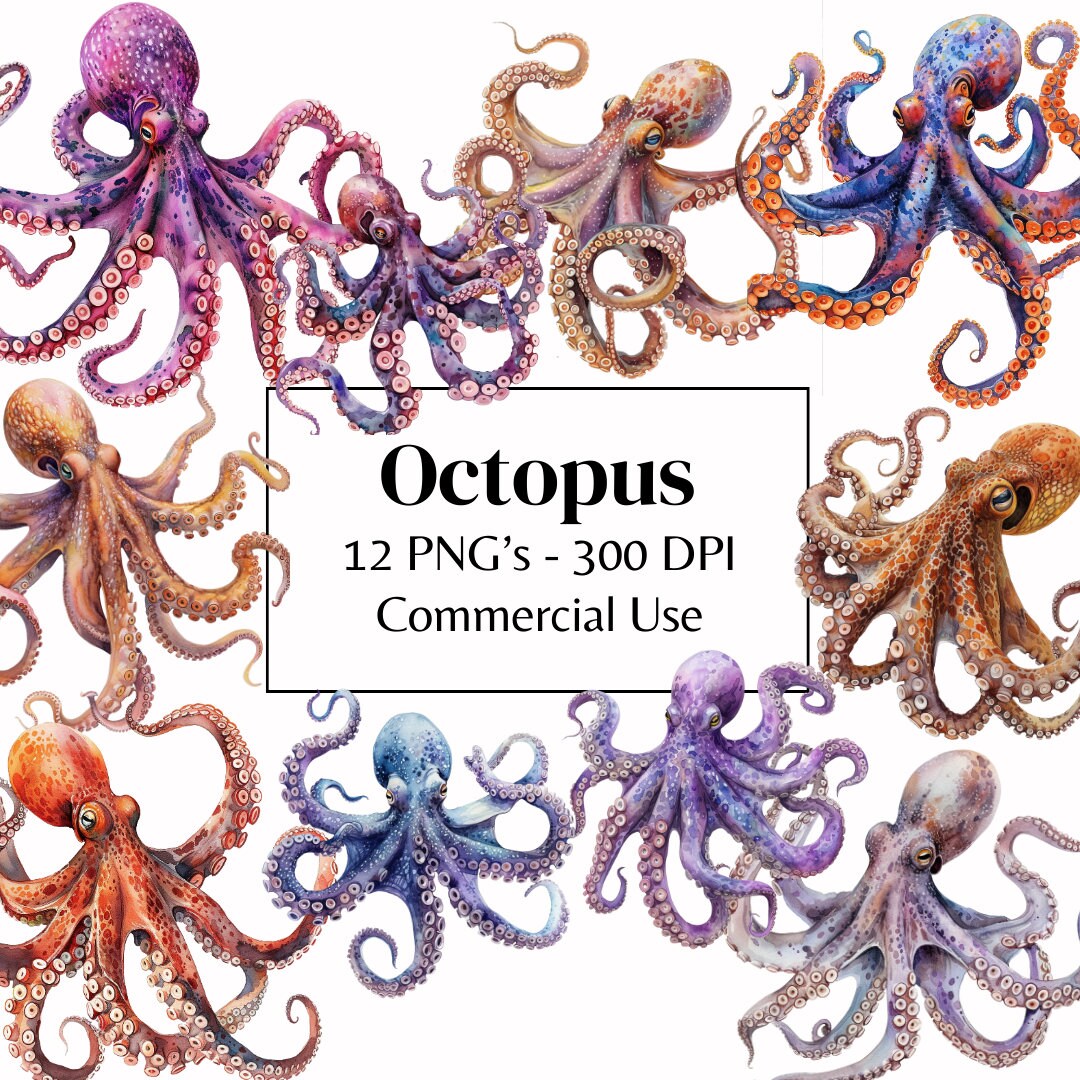 12 Octopus Clipart | Watercolor Octopus | High Quality Pngs for Animal ...