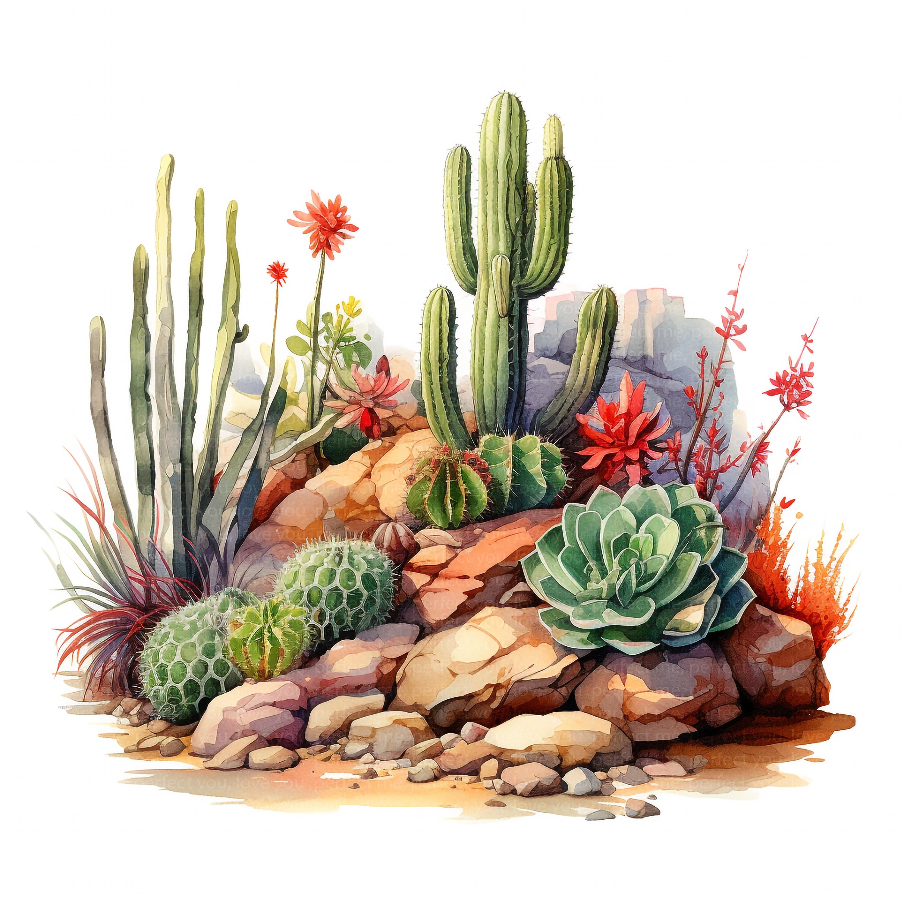 12 Desert Garden Clipart, Cactus Clipart, Cactus Garden, High ...