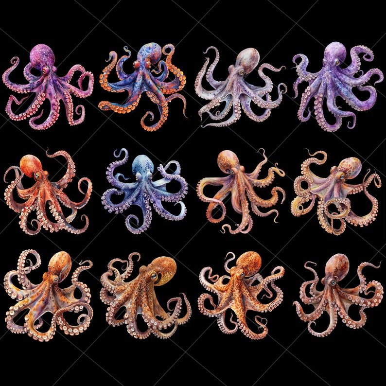 12 Watercolor Octopus Clipart | Ocean Animal Art (jpgs, Commercial Use ...