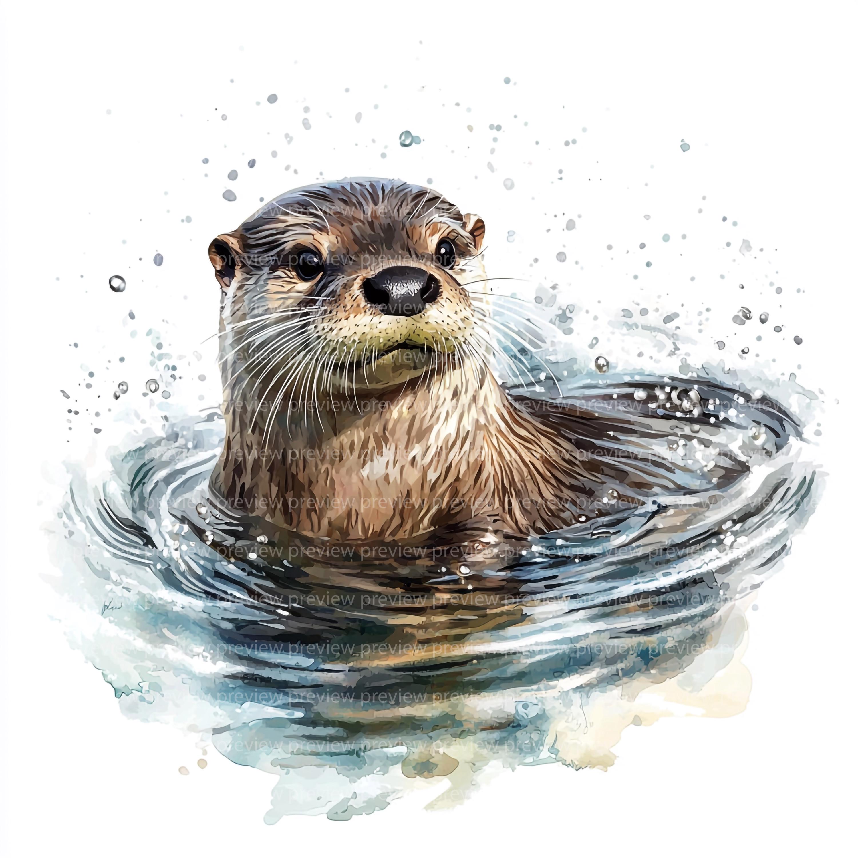 12 Watercolor Otter Clipart Set | Playful Animal Art (jpgs, Digital ...