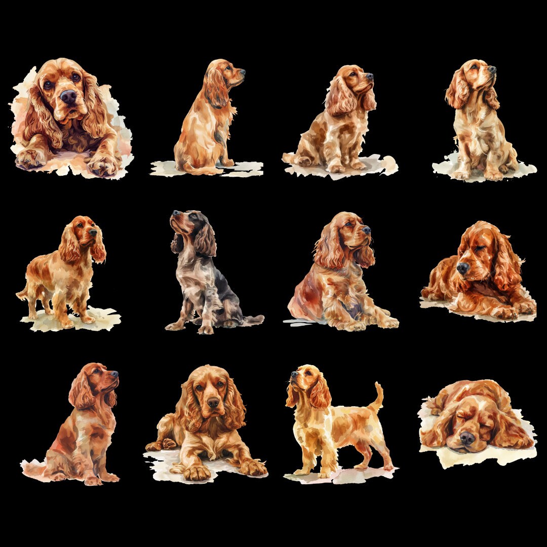 Cocker Spaniel Watercolor Clipart Cocker Spaniel Clipart Dogs Clipart ...