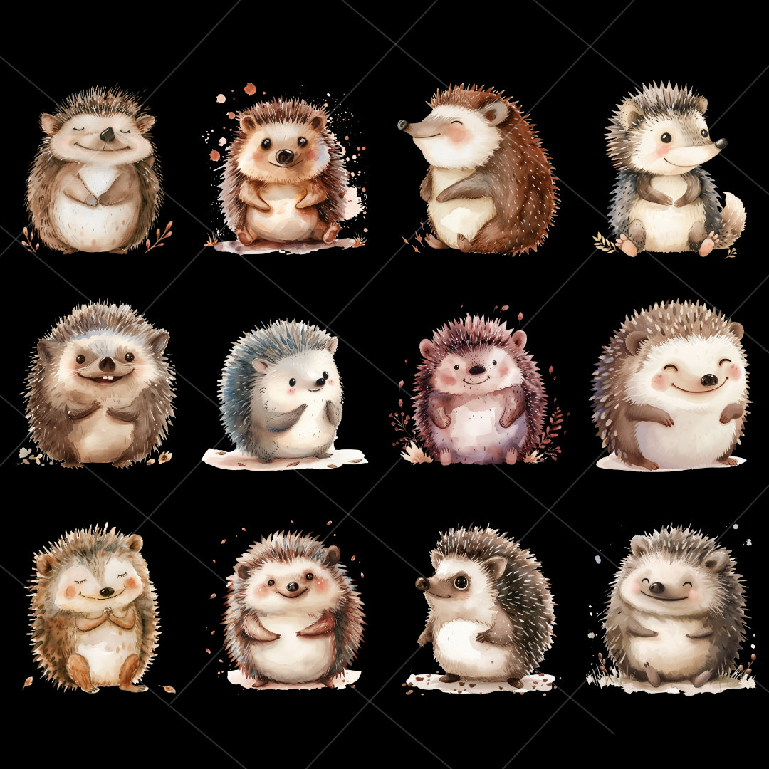 Hedgehog Watercolor Clipart Hedgehog Clipart Cute Hedgehog Clipart ...
