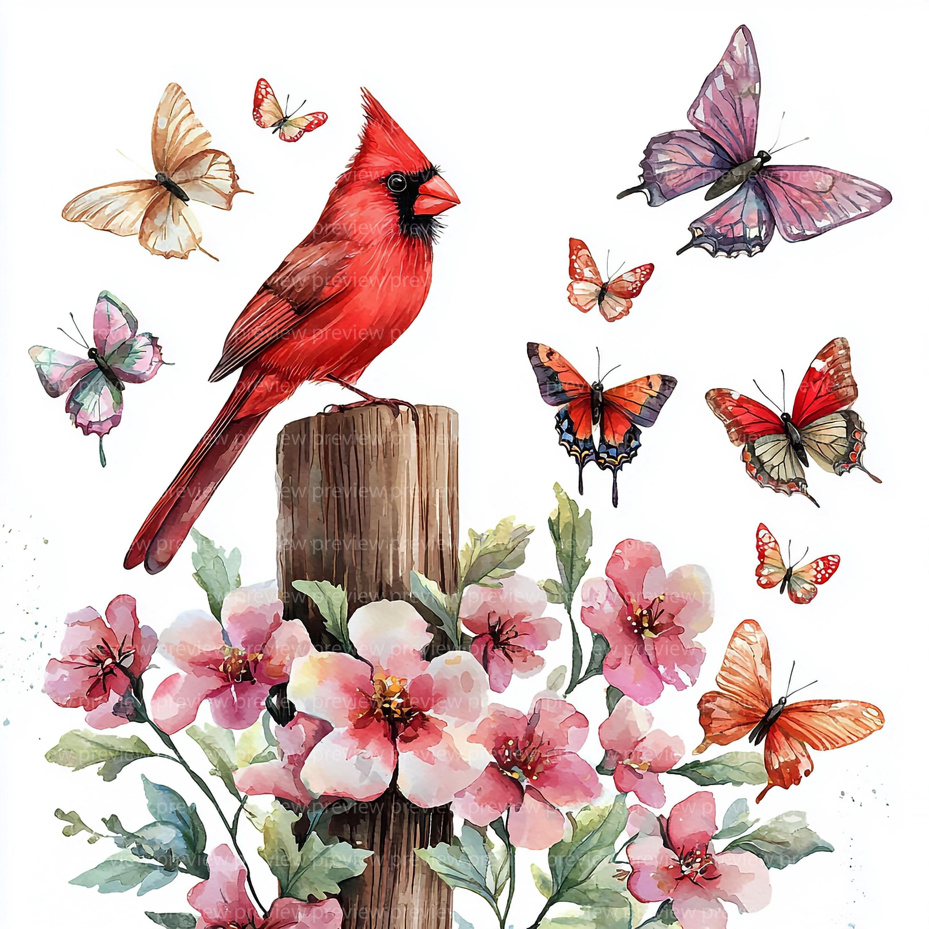 Watercolor Cardinals and Butterflies Clipart: Floral Bird Art (12 Jpgs ...