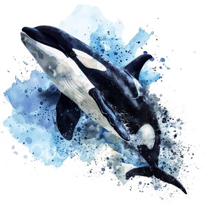 13 Killer Whale Clipart | Orca Ocean Watercolor Art | Majestic Marine ...
