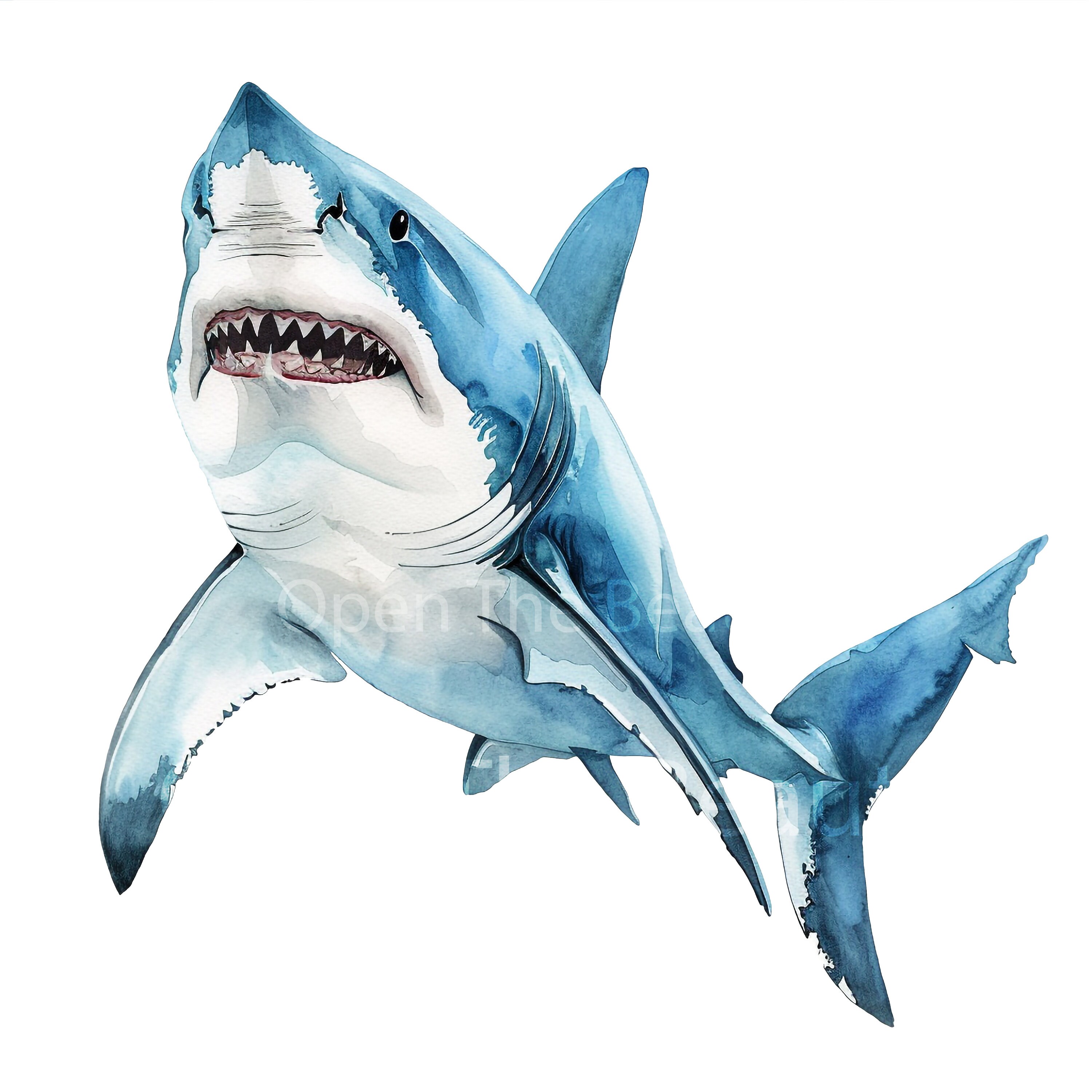 Shark Watercolor Clipart Shark Clipart Ocean Clipart Shark PNG 300 DPI ...