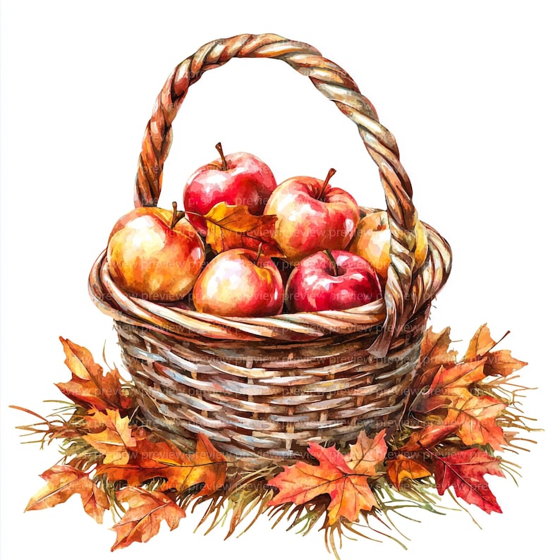 12 Autumn Apple Watercolor Clipart | Fall Fruit Botanical Art ...