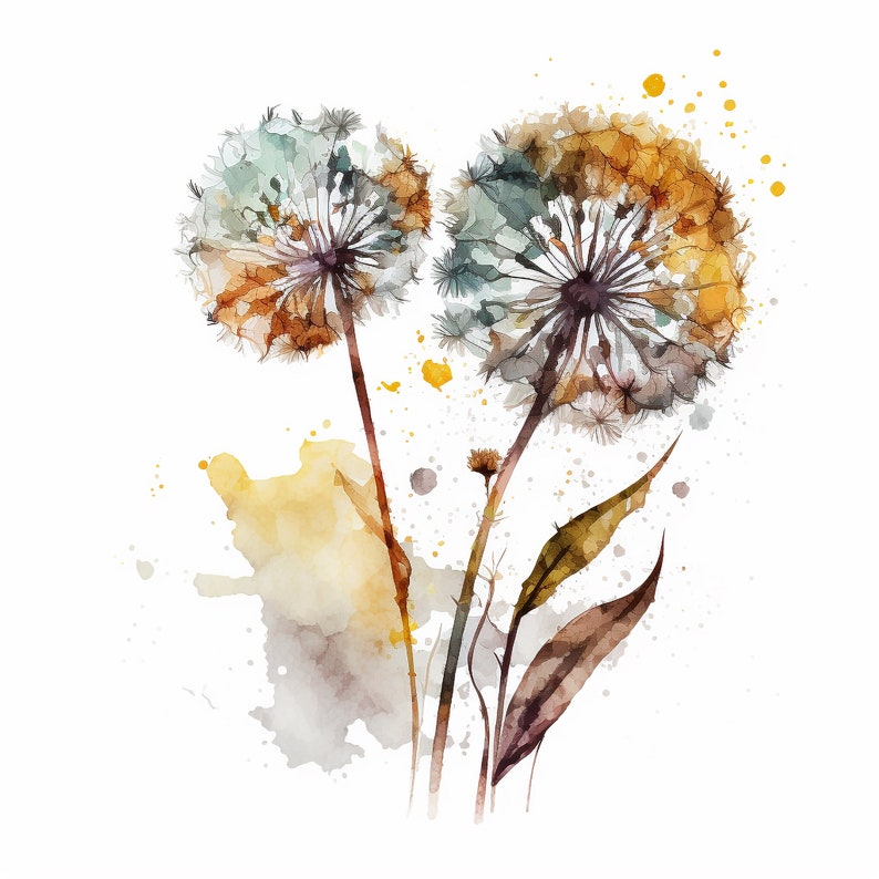 Dandelion Clipart | Watercolor Dandelion Flower | 13 High-res Jpgs for ...