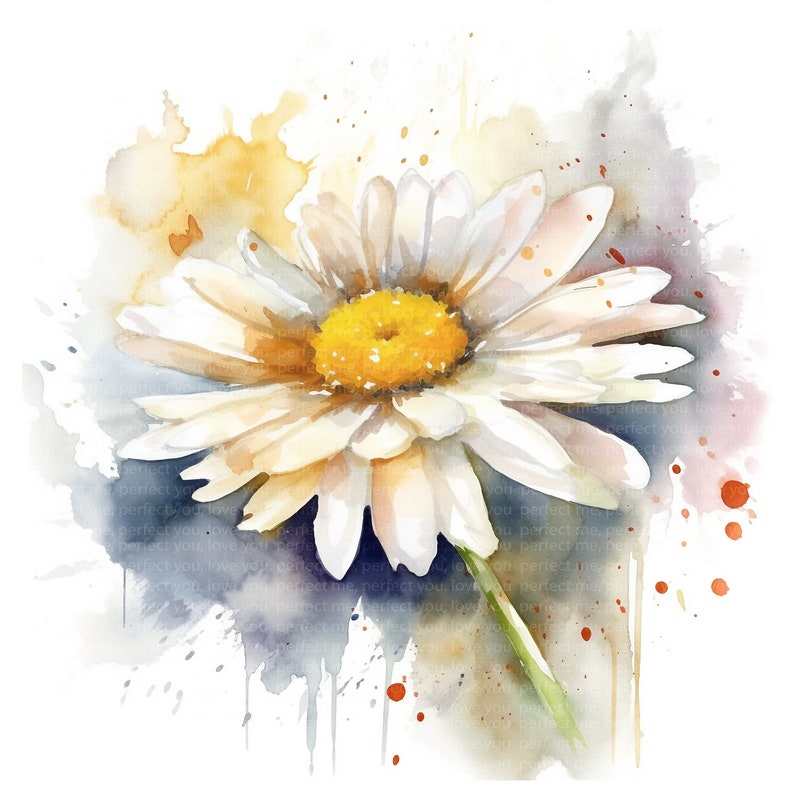 Watercolor Daisy Flower Clipart | 12 High-res Jpgs for Digital Planner ...