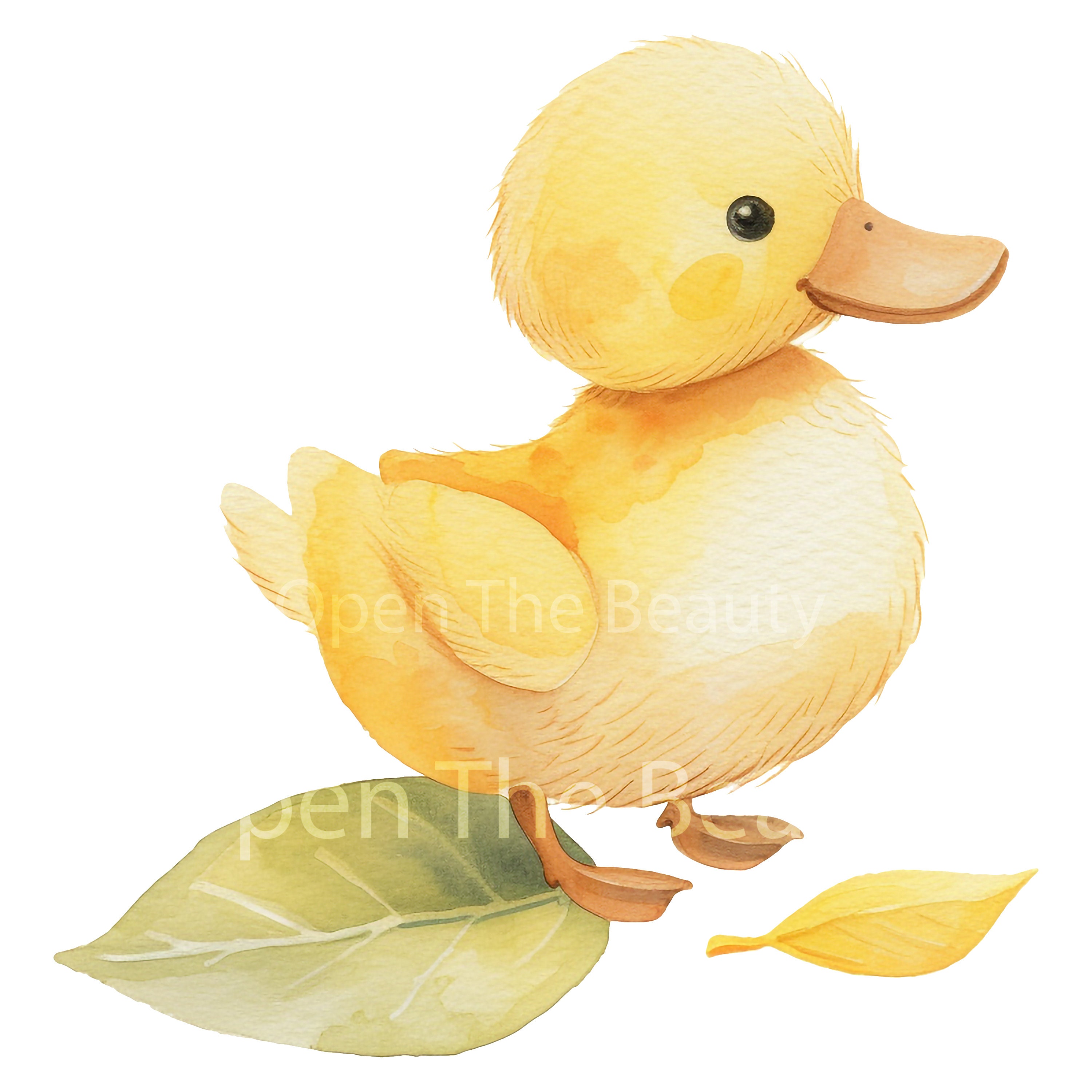 Cute Duck Watercolor Clipart Cute Duck Clipart Duck Bundle Clipart Cute ...