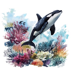 13 Killer Whale Clipart | Orca Ocean Watercolor Art | Majestic Marine ...