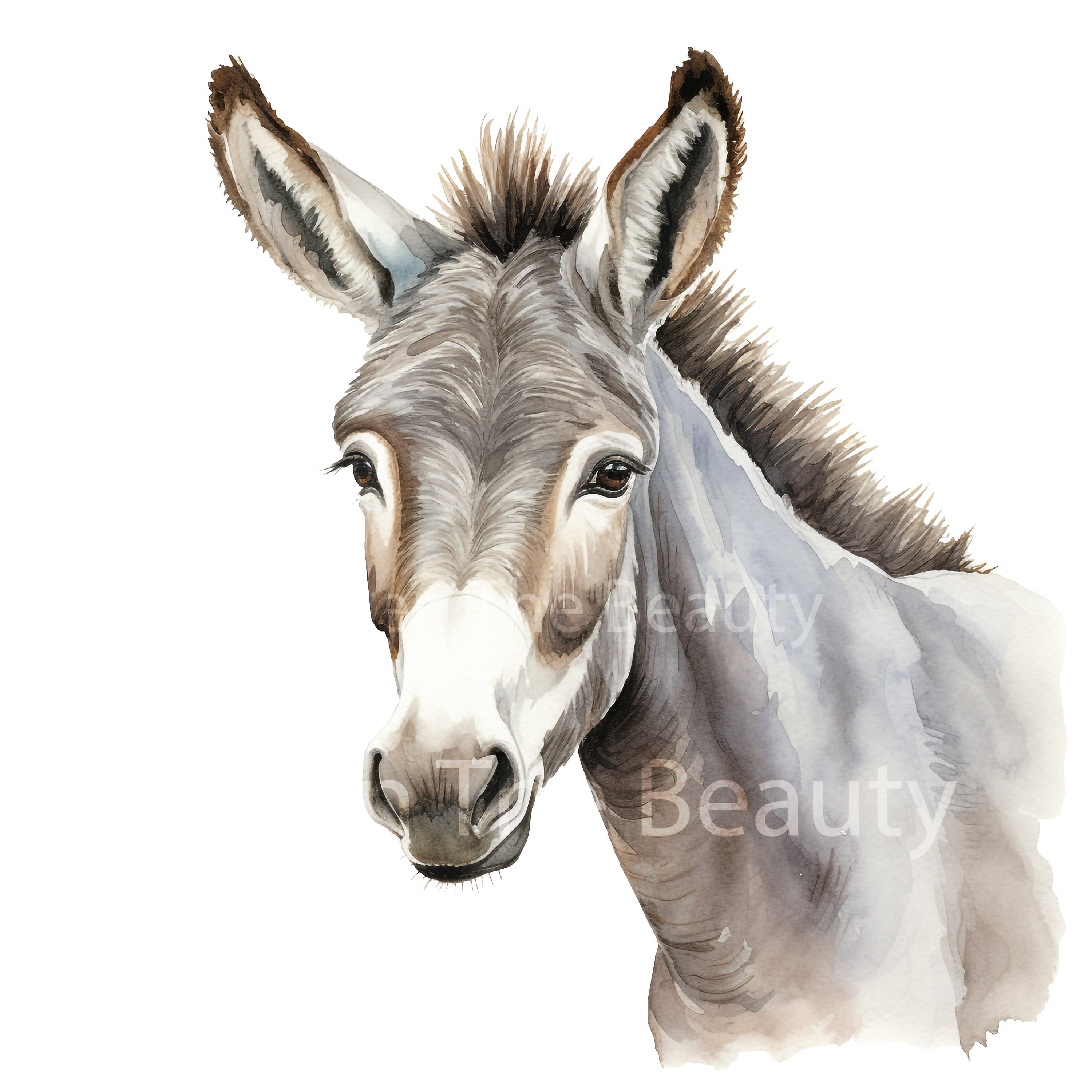 13 Donkey Clipart | Farm Animal Watercolor Art | Rustic Livestock ...