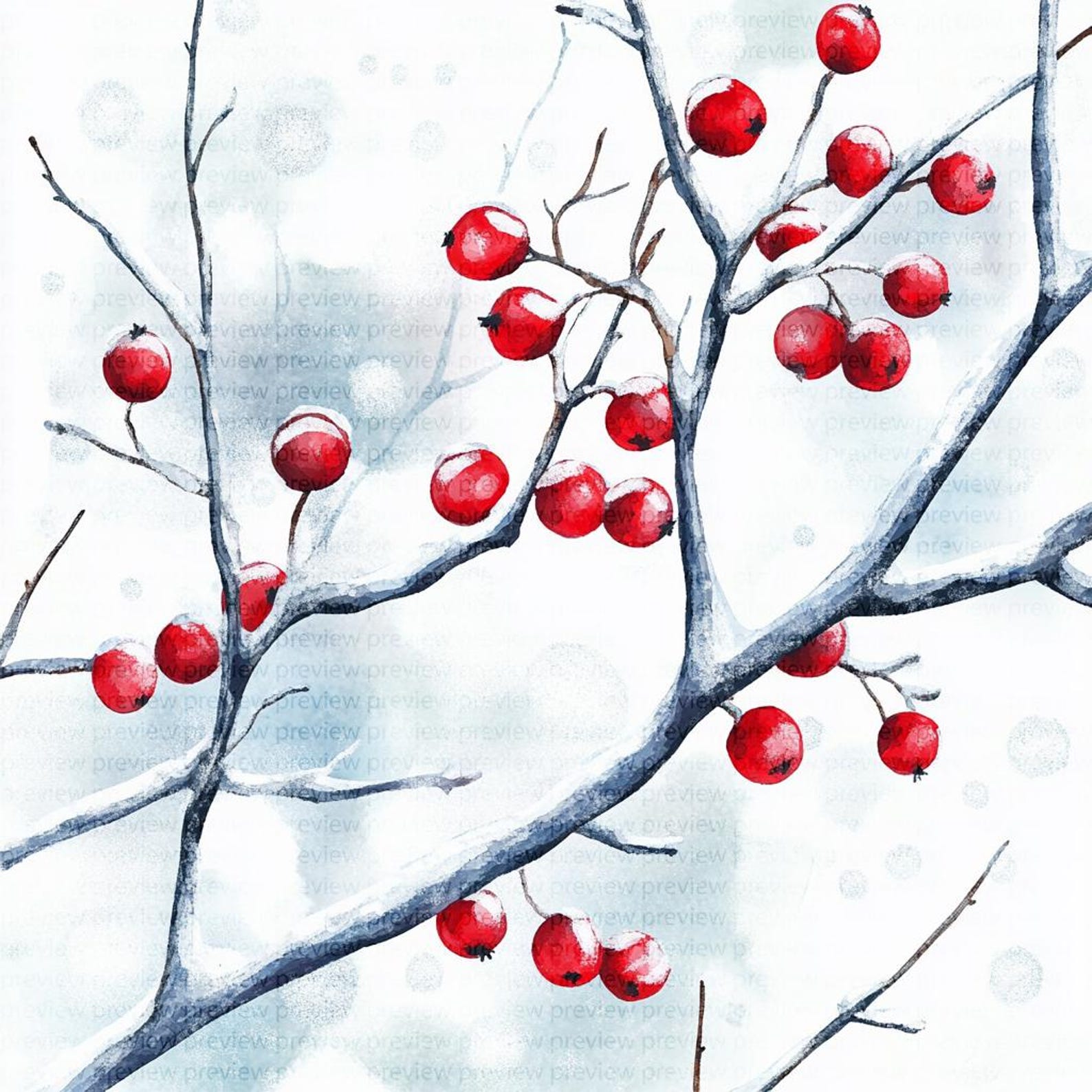 14 Watercolor Frozen Berries Clipart | Winter Holiday Graphics (jpgs ...