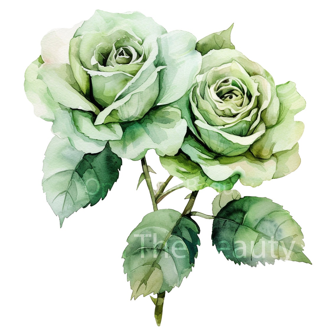 Green Roses Watercolor Clipart Green Roses Clipart Flowers Clipart ...