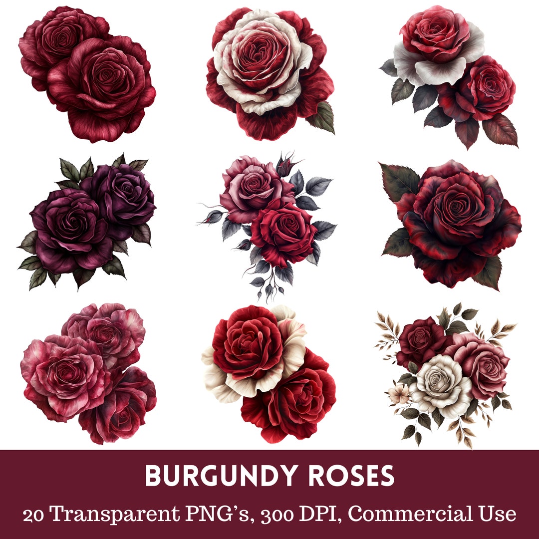 Watercolor Burgundy Roses Clipart | 20 High-res Pngs for Wedding Card ...