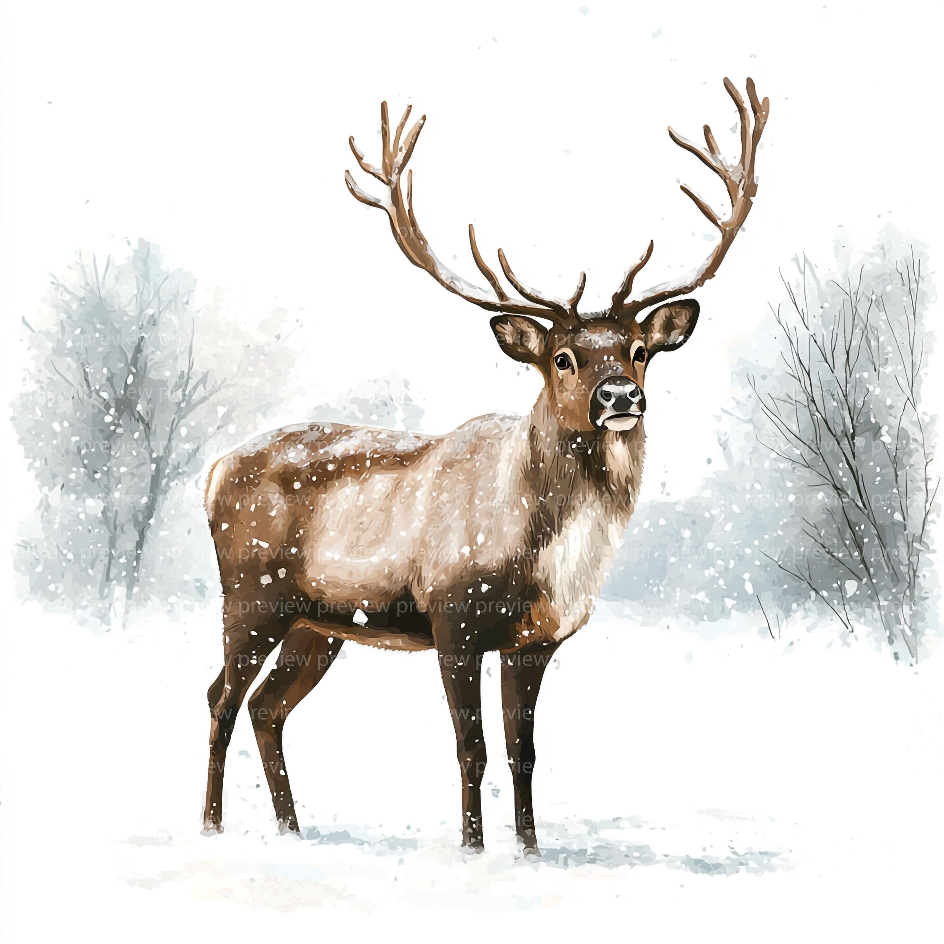 16 Reindeer Clipart | Antler Wildlife Watercolor Winter Art | Christmas ...