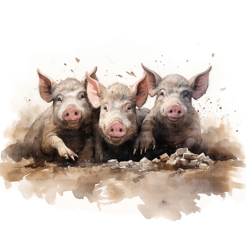 Pigs Rolling in Mud Clipart, Watercolor Pigs Clipart Pack 12 High ...
