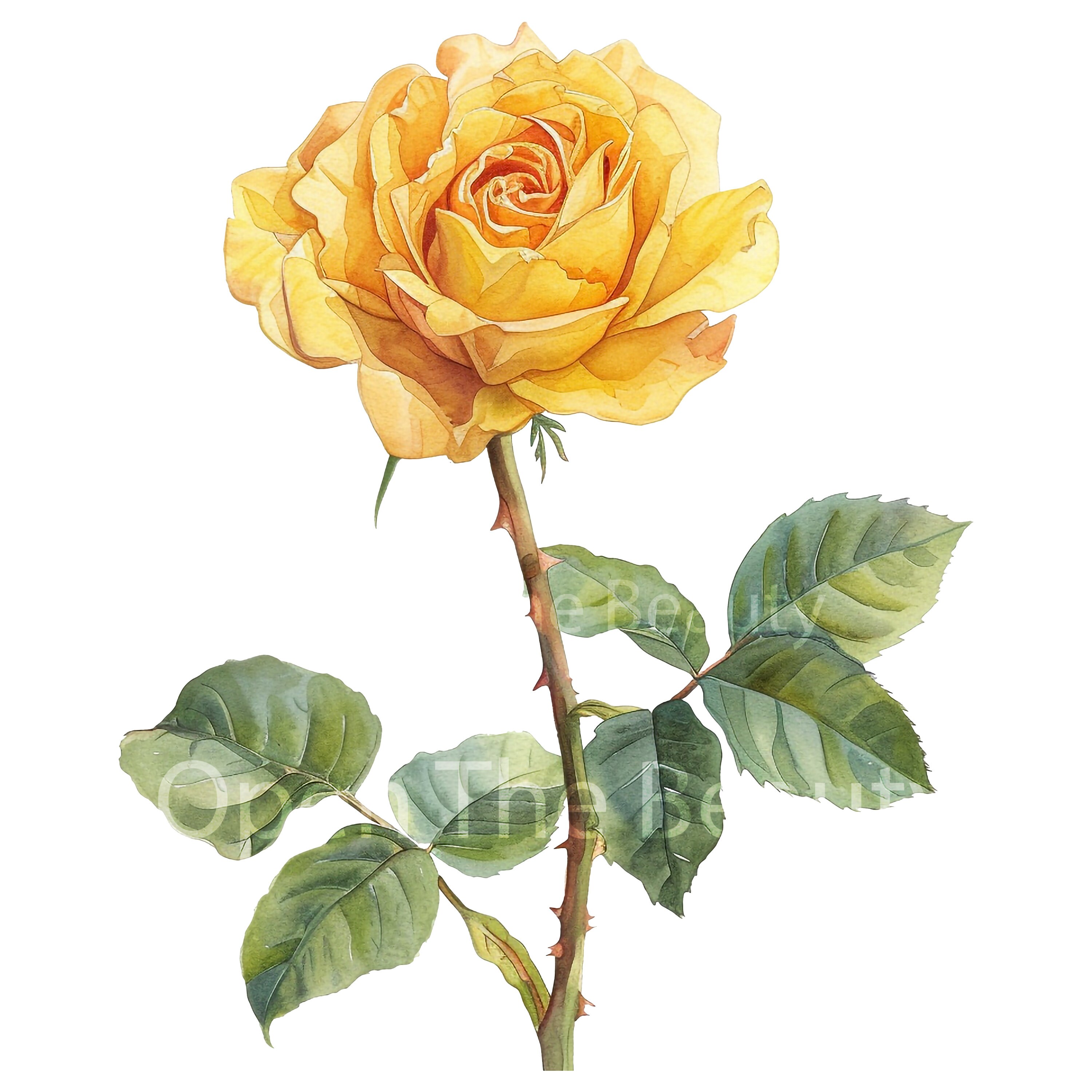 Yellow Roses Watercolor Clipart Yellow Roses Clipart Flowers Clipart ...