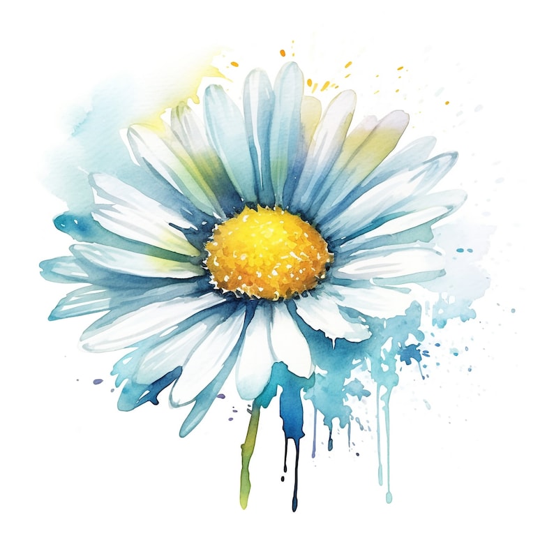 Watercolor Daisy Flower Clipart | 12 High-res Jpgs for Digital Planner ...