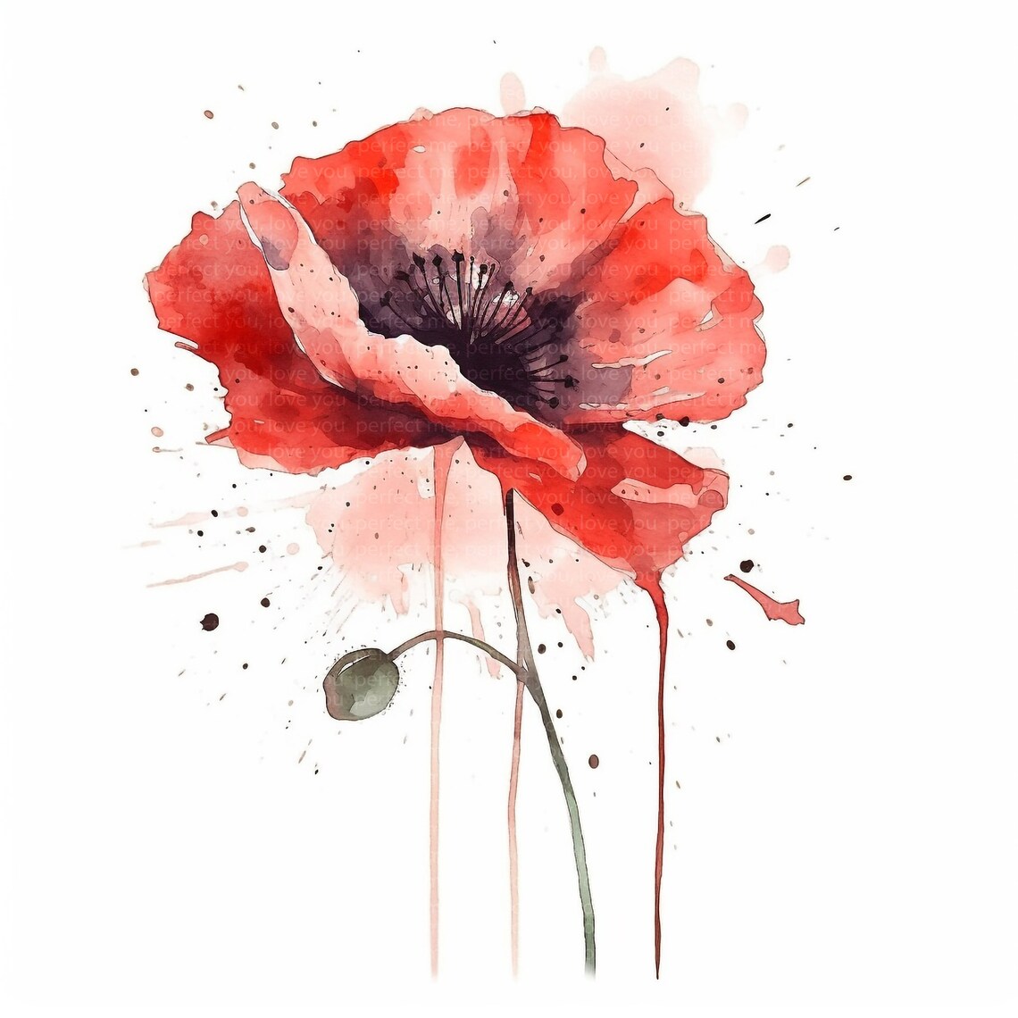 12 Red Poppy Clipart, Red Poppy Bouquet, Printable Red Poppy, High ...