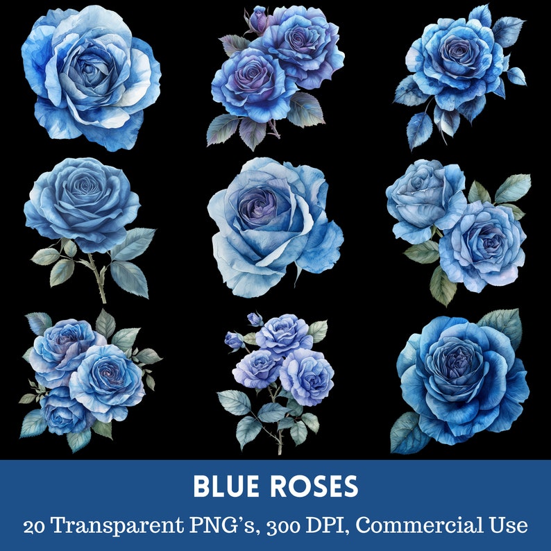 Blue Roses Watercolor Clipart Blue Roses Clipart Flowers Clipart Blue ...