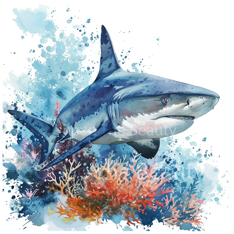 Shark Watercolor Clipart Shark Clipart Ocean Clipart Shark PNG 300 DPI ...
