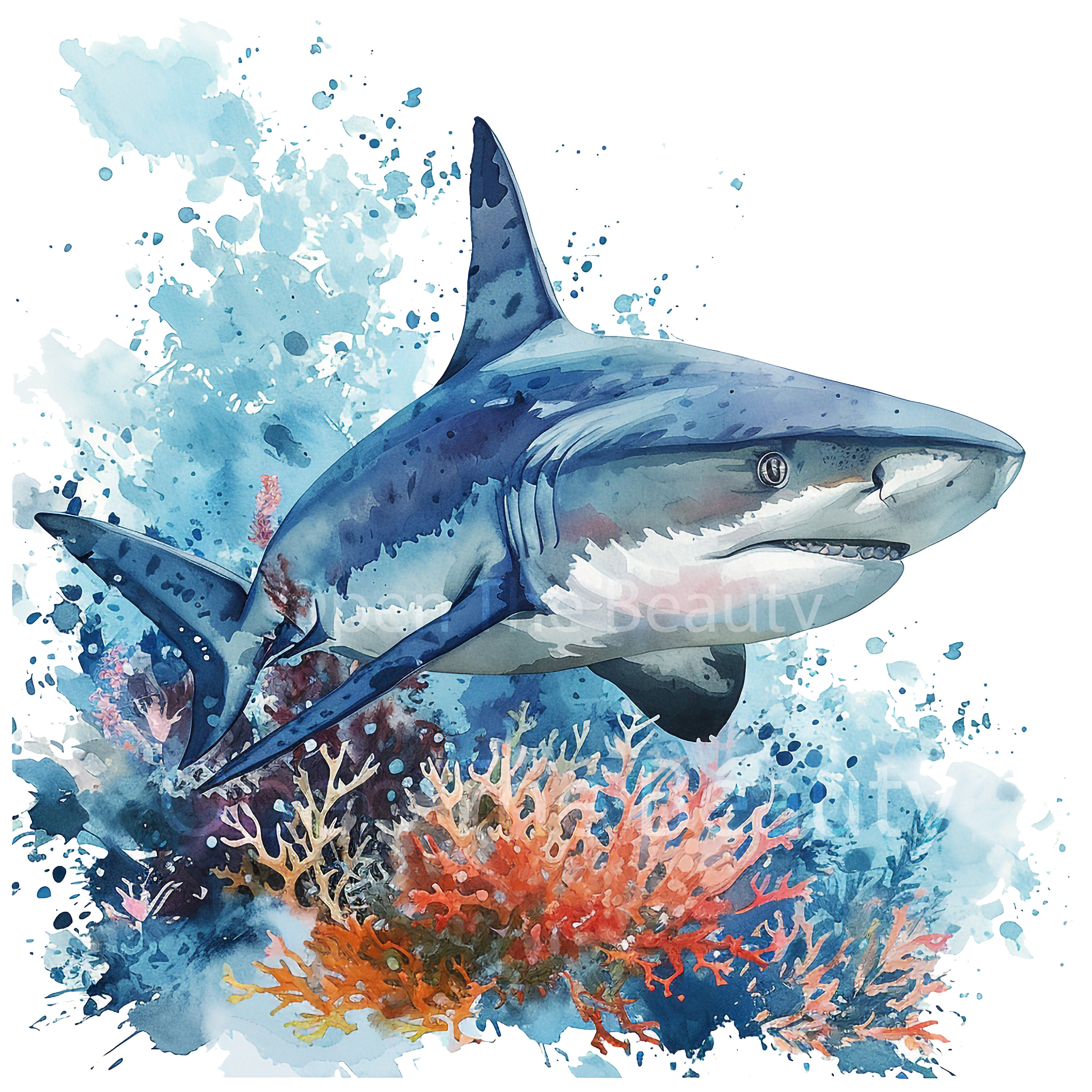 Shark Watercolor Clipart Shark Clipart Ocean Clipart Shark PNG 300 DPI ...