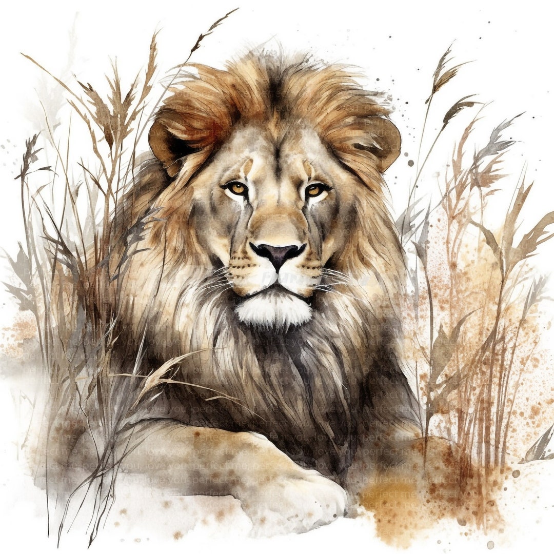 Watercolor Lion Clipart | 12 High-res Jpgs for Digital Planner, Junk ...