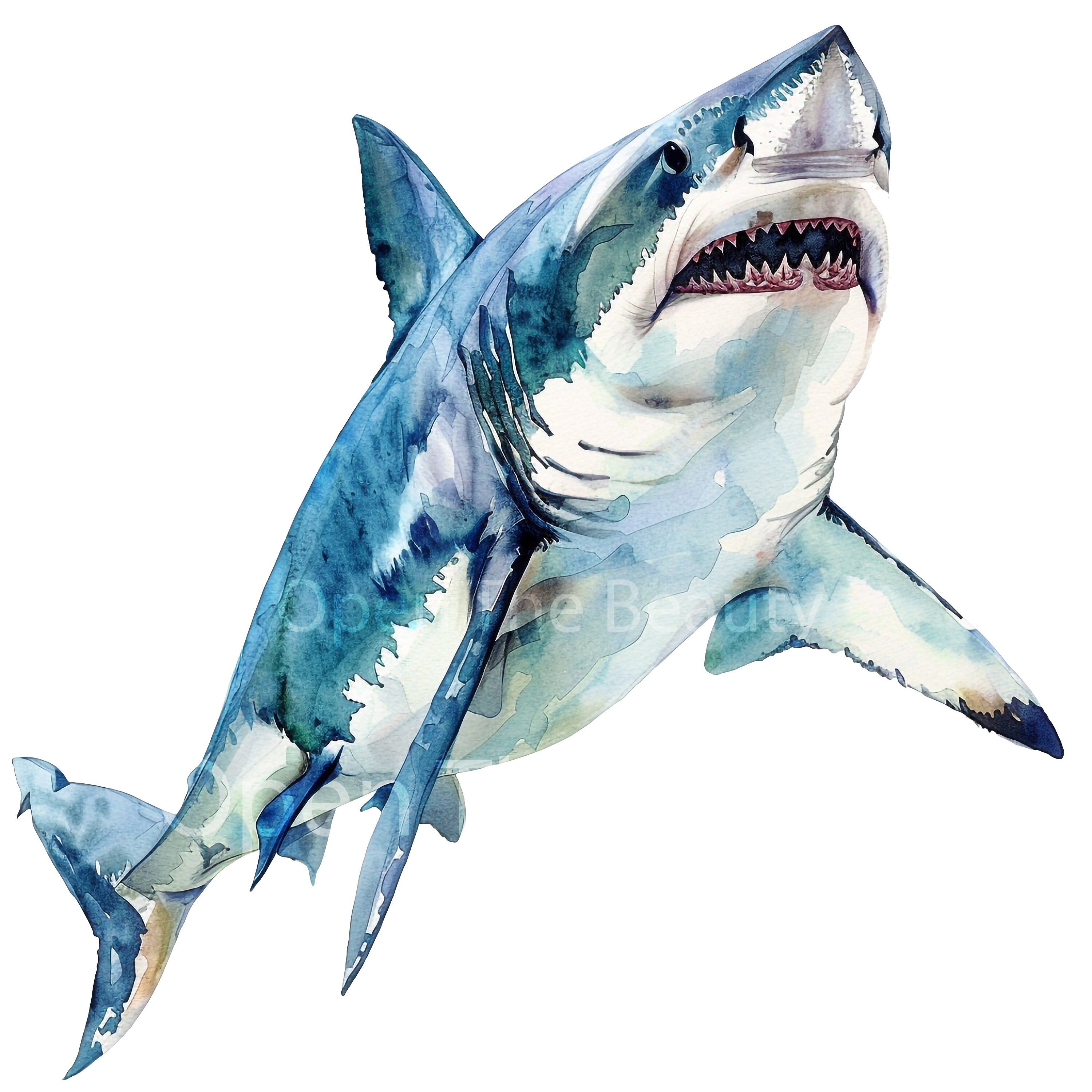 Shark Watercolor Clipart Shark Clipart Ocean Clipart Shark PNG 300 DPI ...