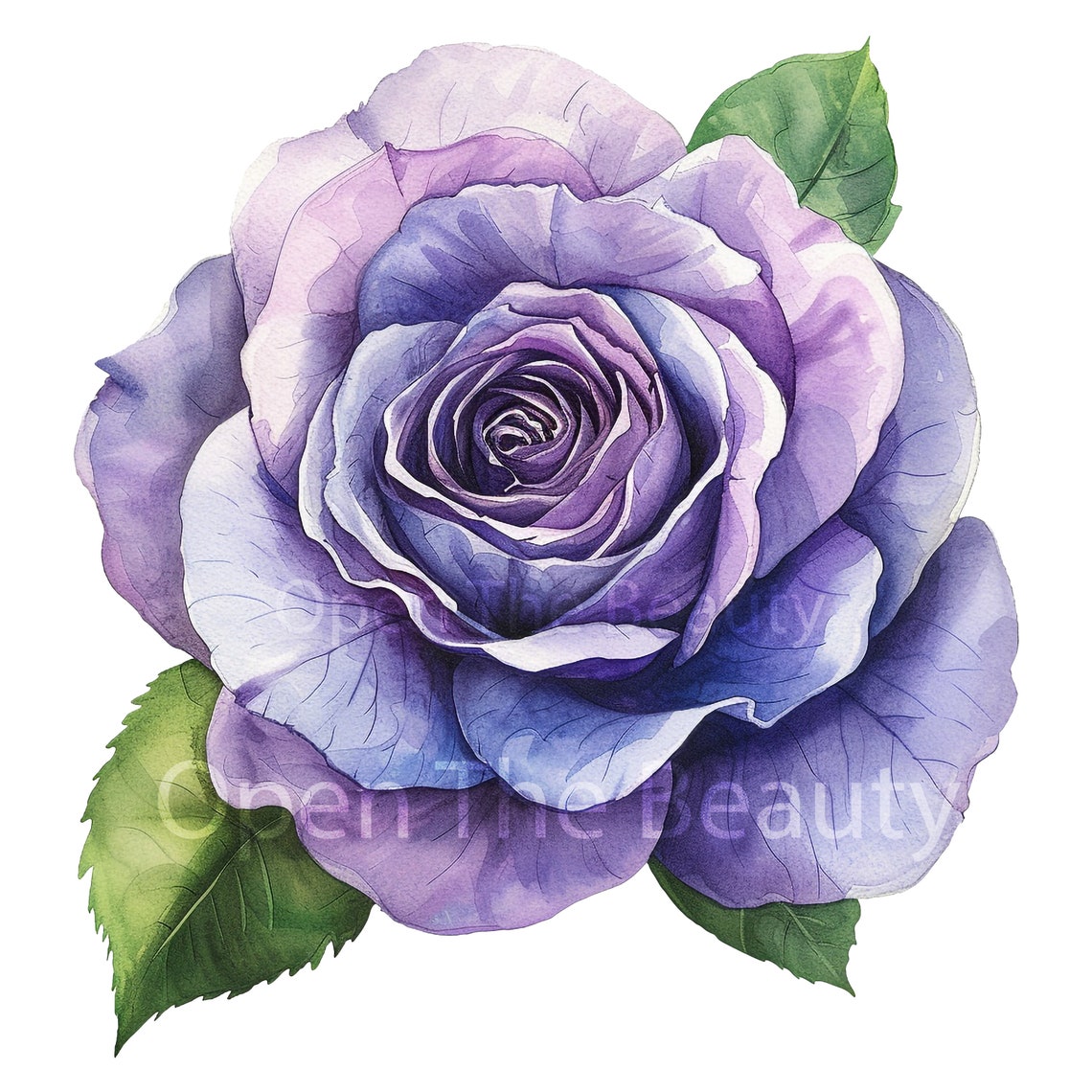Lavender Roses Watercolor Clipart Lavender Roses Clipart Flowers ...