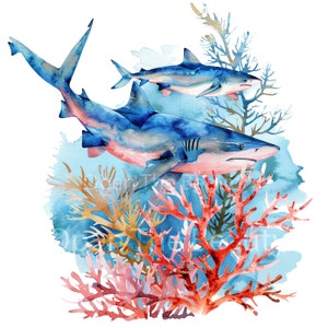 Watercolor Shark Clipart | 12 High Quality Pngs for Ocean Wall Art ...