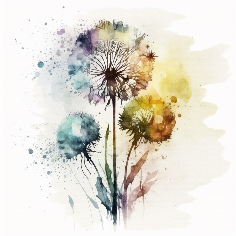Dandelion Clipart | Watercolor Dandelion Flower | 13 High-res Jpgs for ...